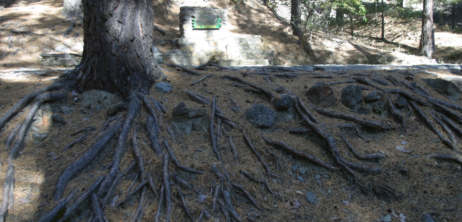 Puente Palo (Roberto Gallego) - La Alpujarra